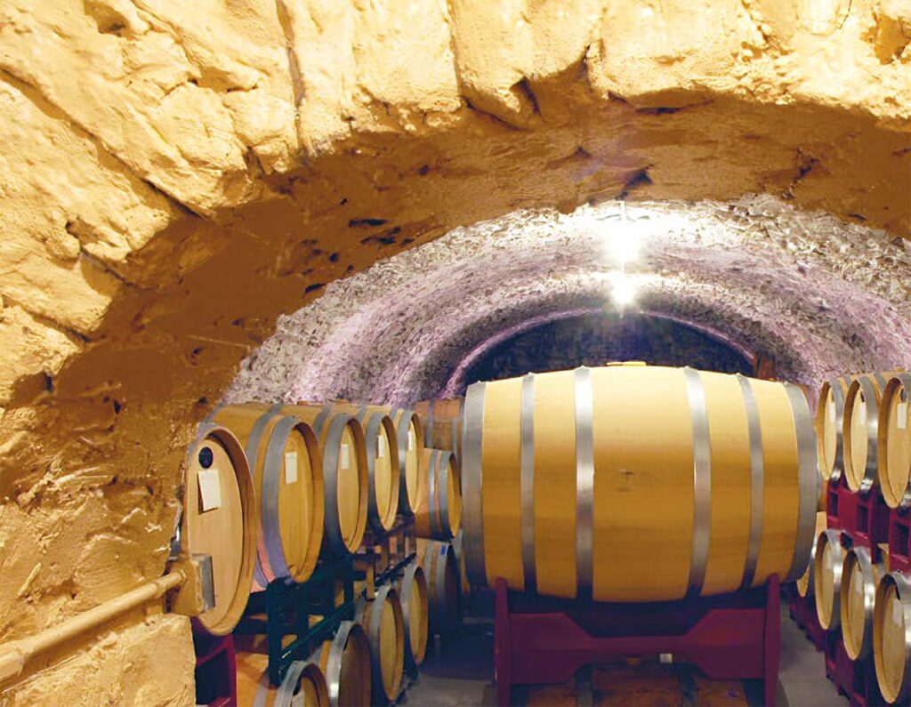 VON STIEHL WINERY: Harvest Season - Edible NEW